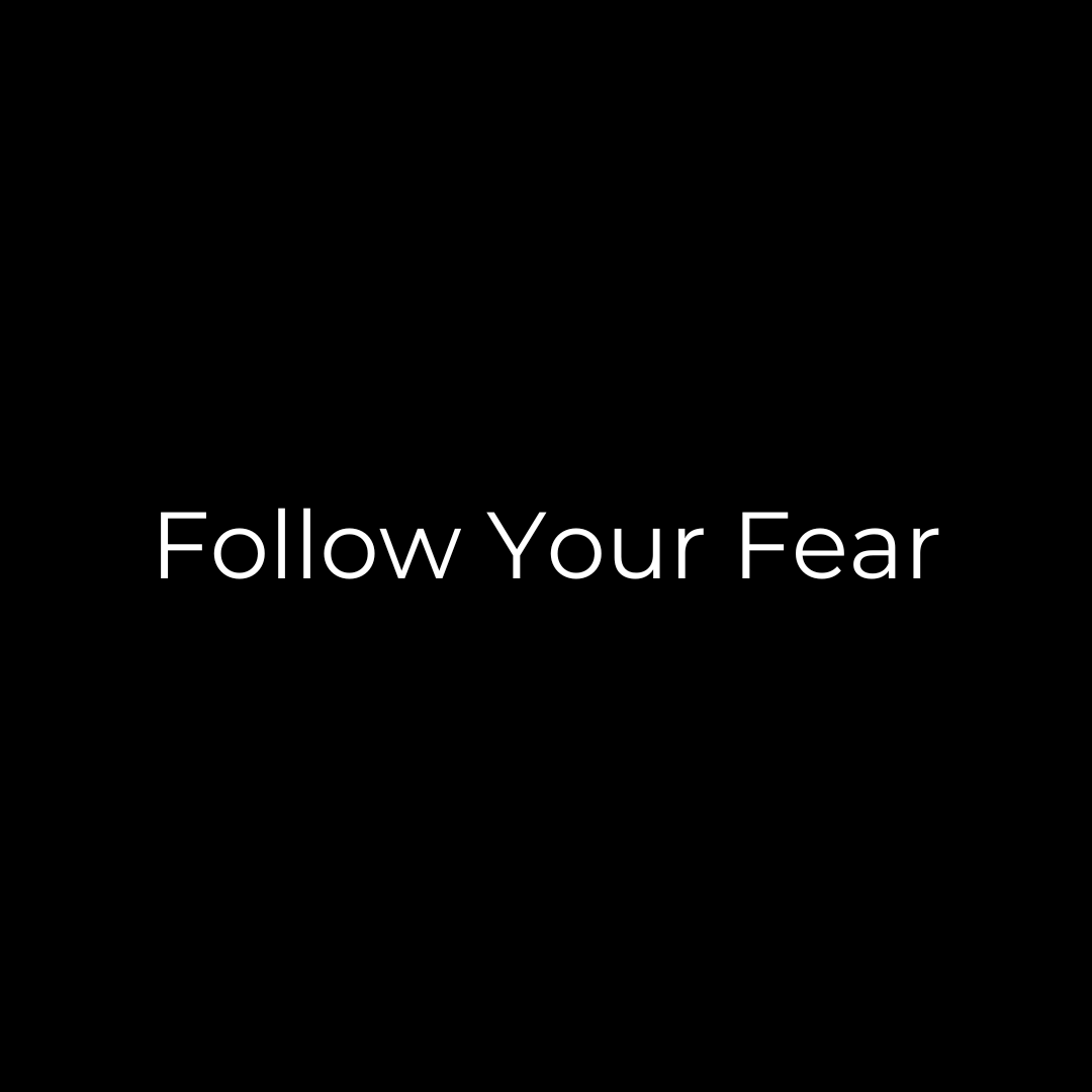 Follow Your Fear - Shadow Work Demystified - Rafael Krüger