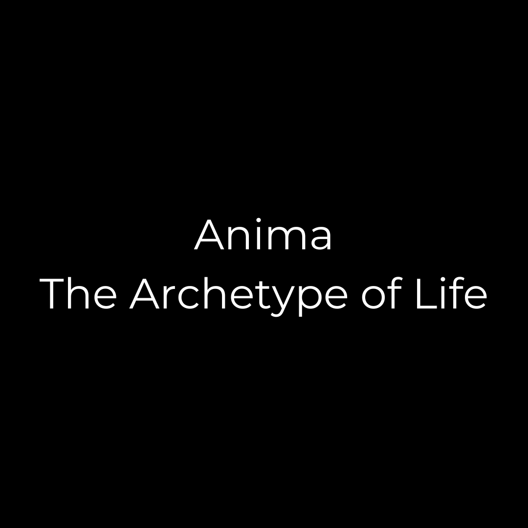 What Is The Anima and How To Integrate It - Rafael Krüger