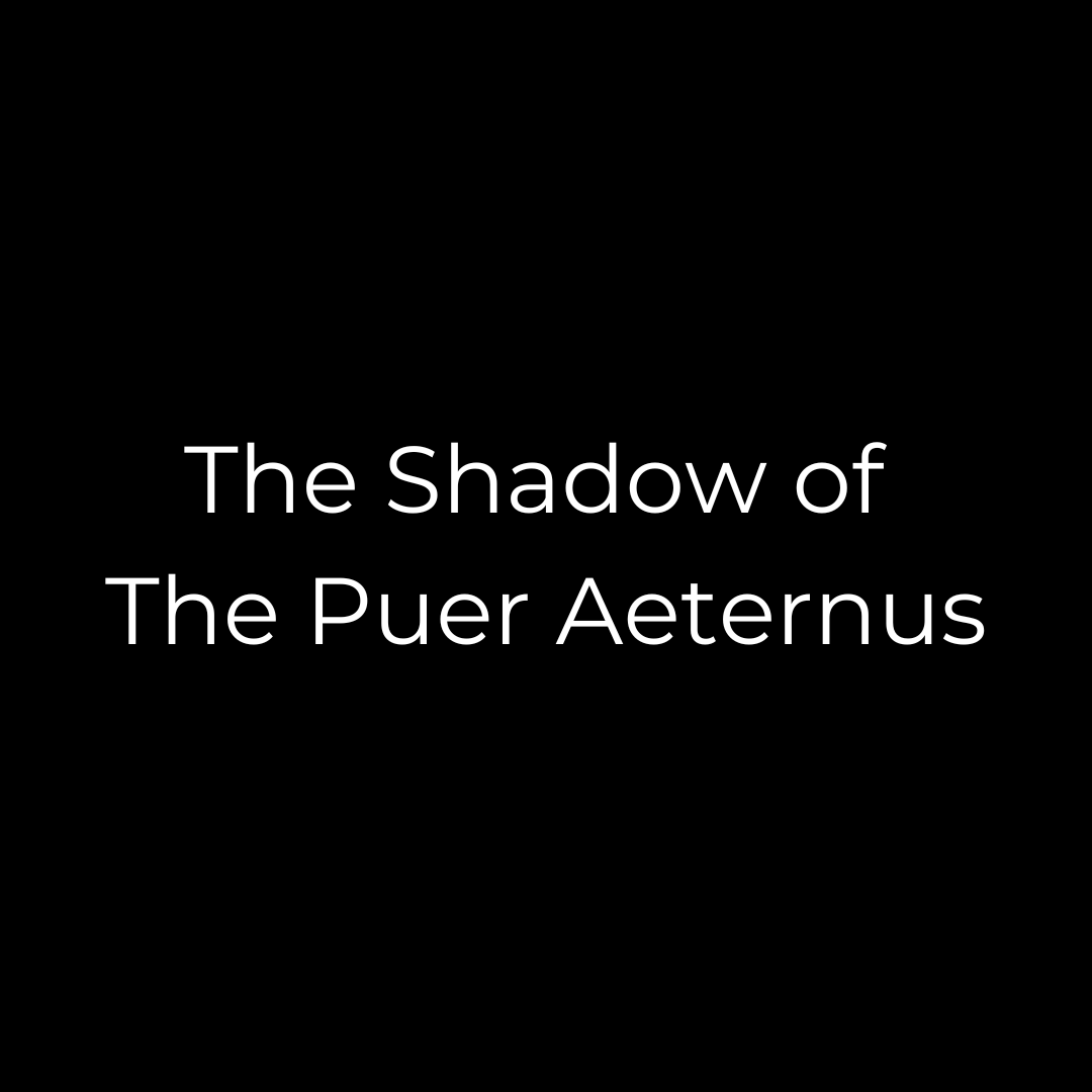 The Shadow of The Puer Aeternus (And How To Integrate It) - Part IV ...
