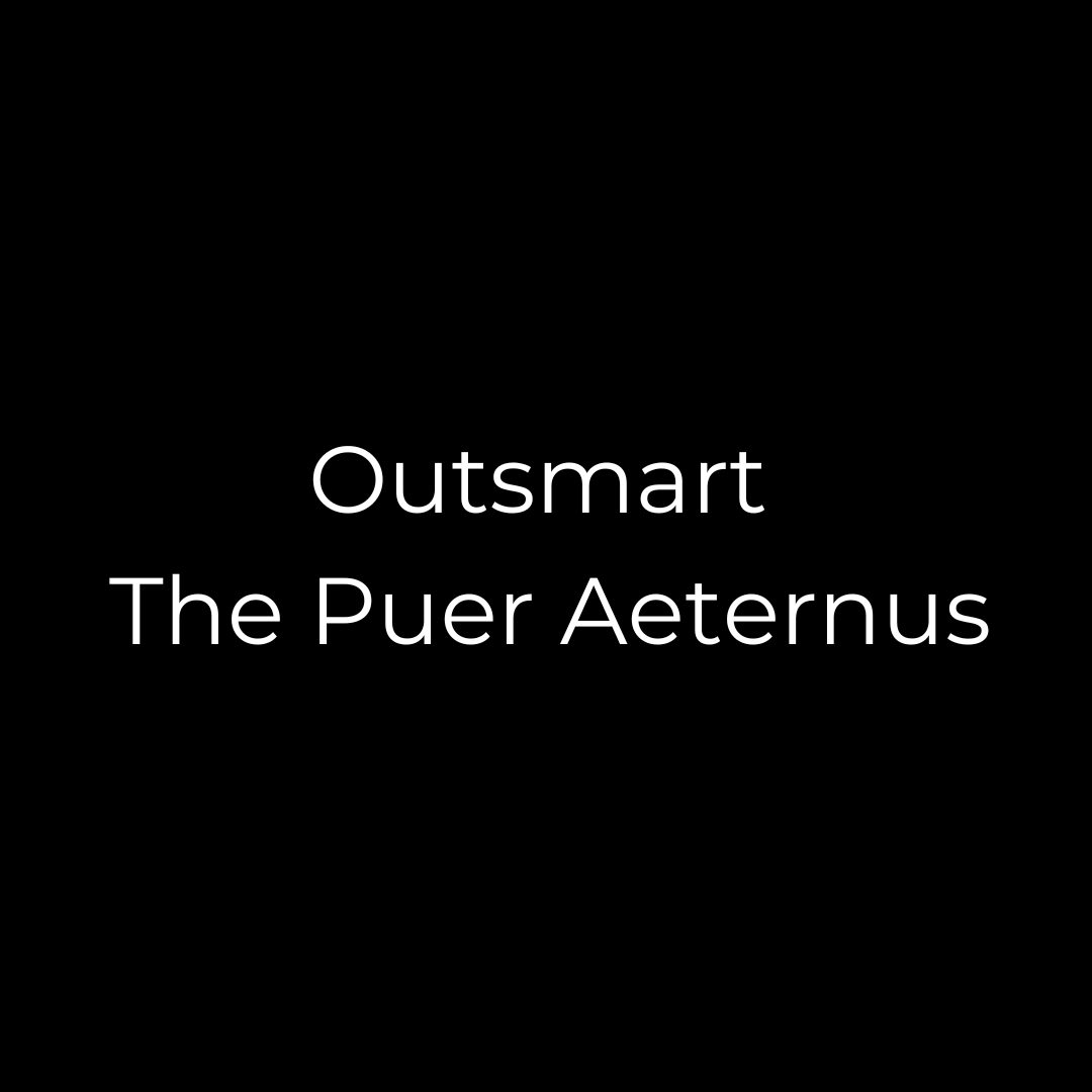 How To Stop Letting The Puer Aeternus Ruin Your Life - Rafael Krüger